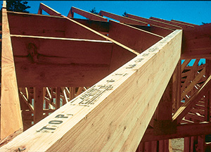 Glulam - APA – The Engineered Wood Association